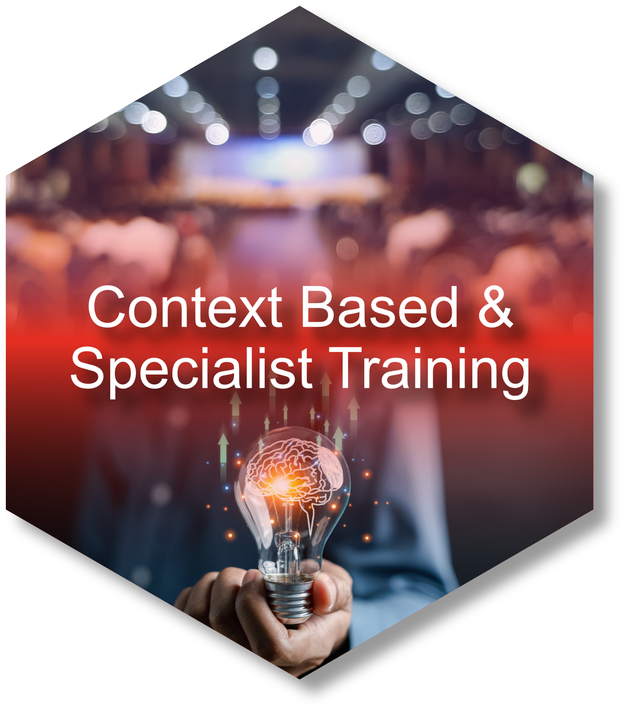 What We Do – Helyx